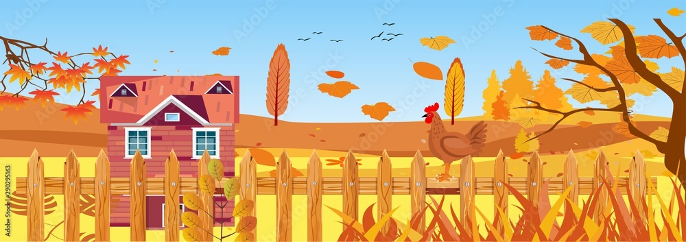 Panoramic landscapes of Countryside in autumn. mid autumn with field ...