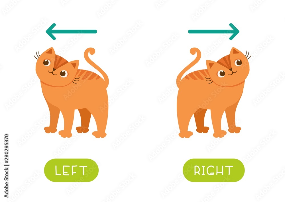 Funny educational flashcard with antonyms vector template. Opposites ...