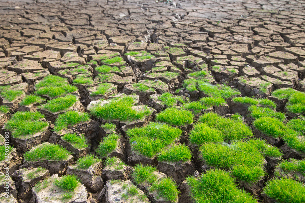 Drought of water sources. The impact of rain does not fall seasonally ...
