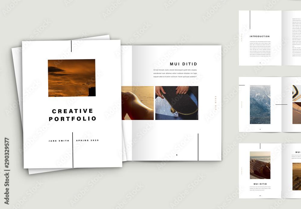 Simple Portfolio Layout with Line Accents Stock Template | Adobe Stock