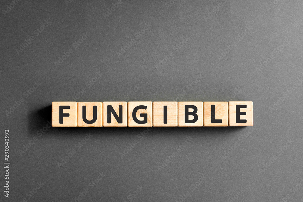 Fungible - word from wooden blocks with letters, commutable ...
