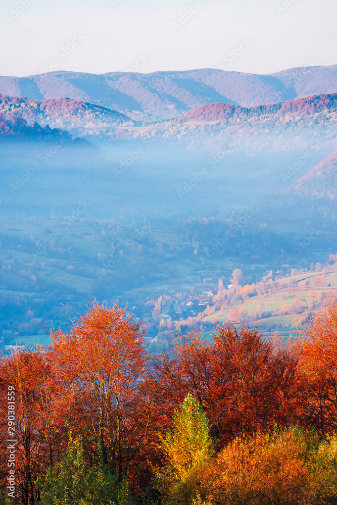 Beautiful Morning Scenery