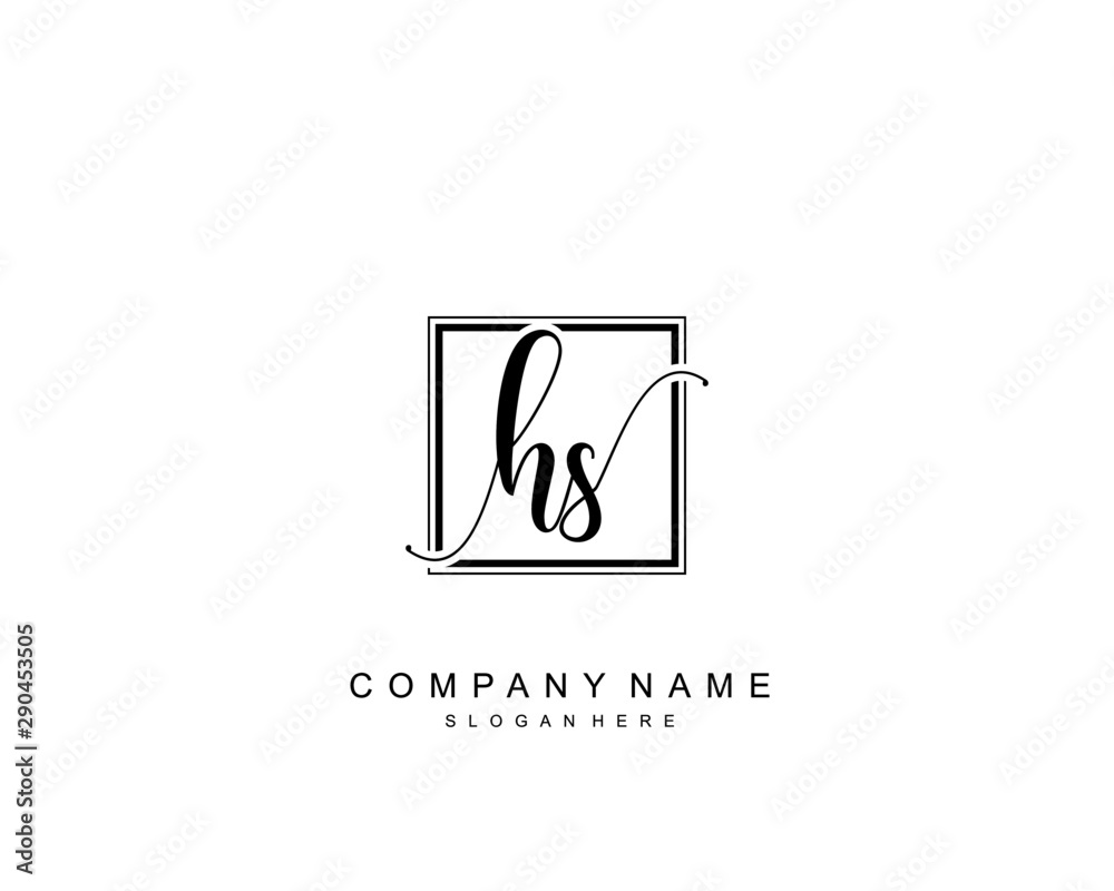 Hs Logo Design