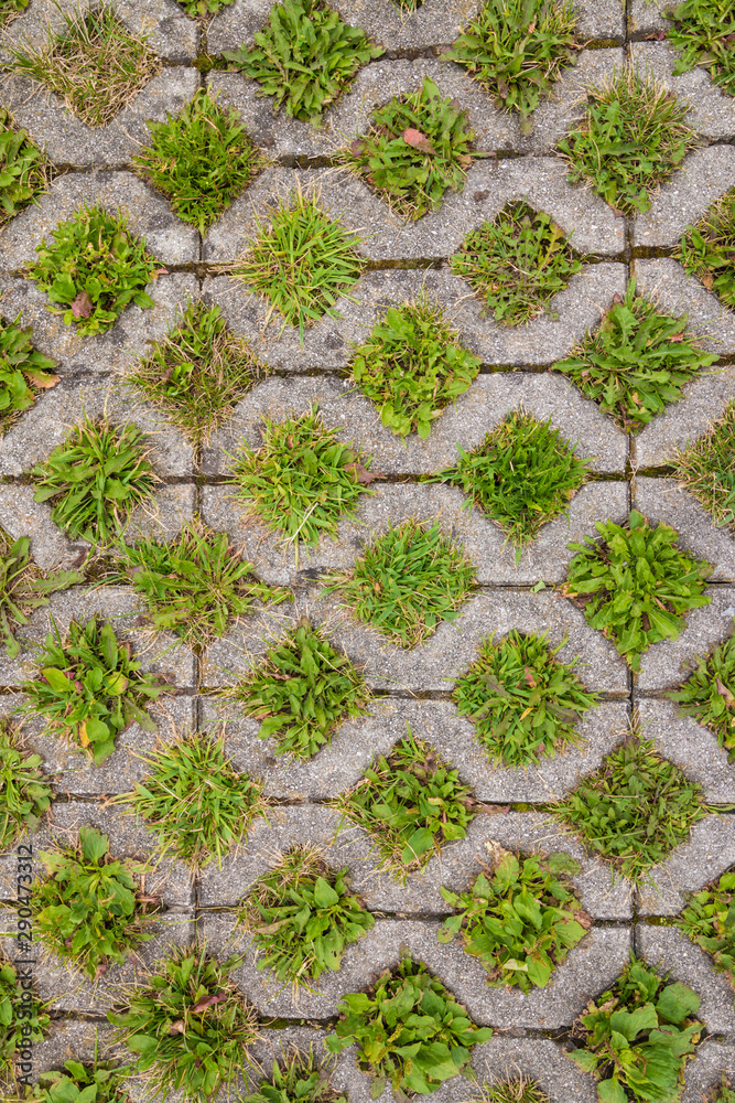 Permeable pavement with grass. Eco friendly parking Stock Photo | Adobe ...
