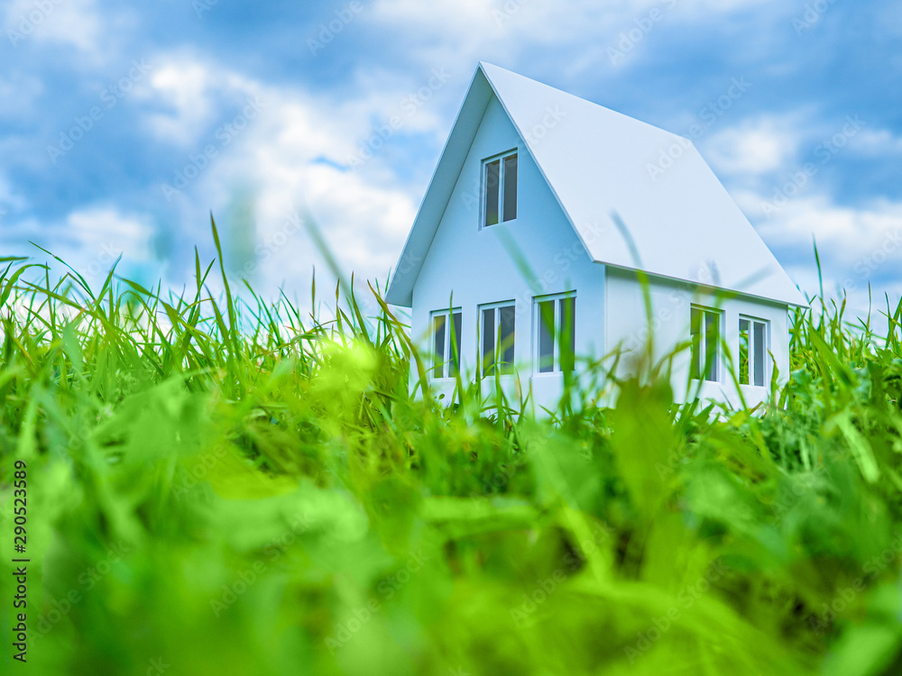 Eco housing. Cottage on a background of grass and sky. The concept is ...