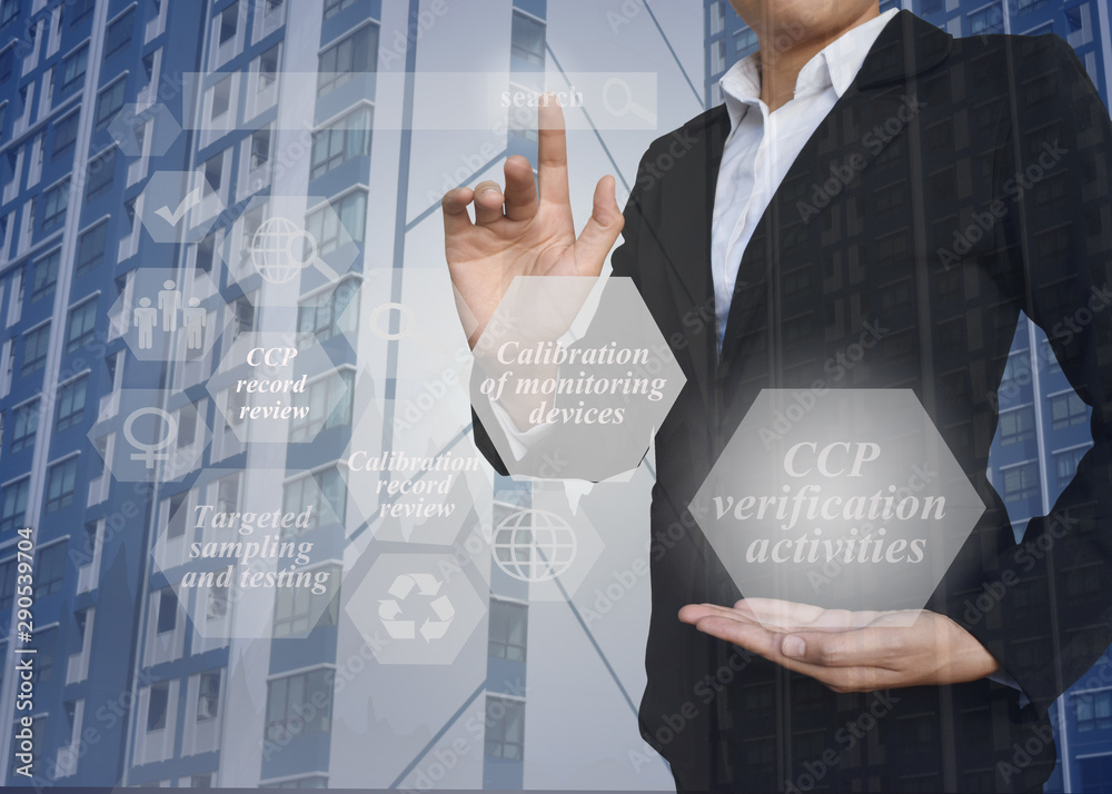 Businesswoman with presentation element of CCP verification activities ...