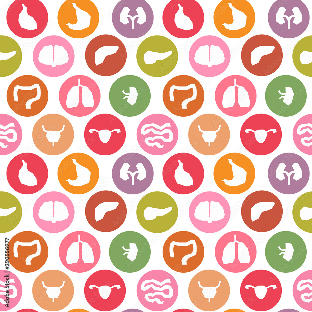 Icons of major human body internal organs. Seamless pattern. Stock Vector | Adobe Stock