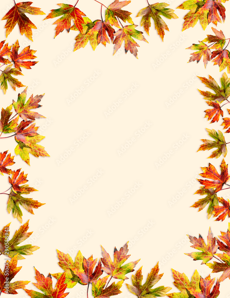 Autumn leaves composition for fall season projects. Beautiful fall ...