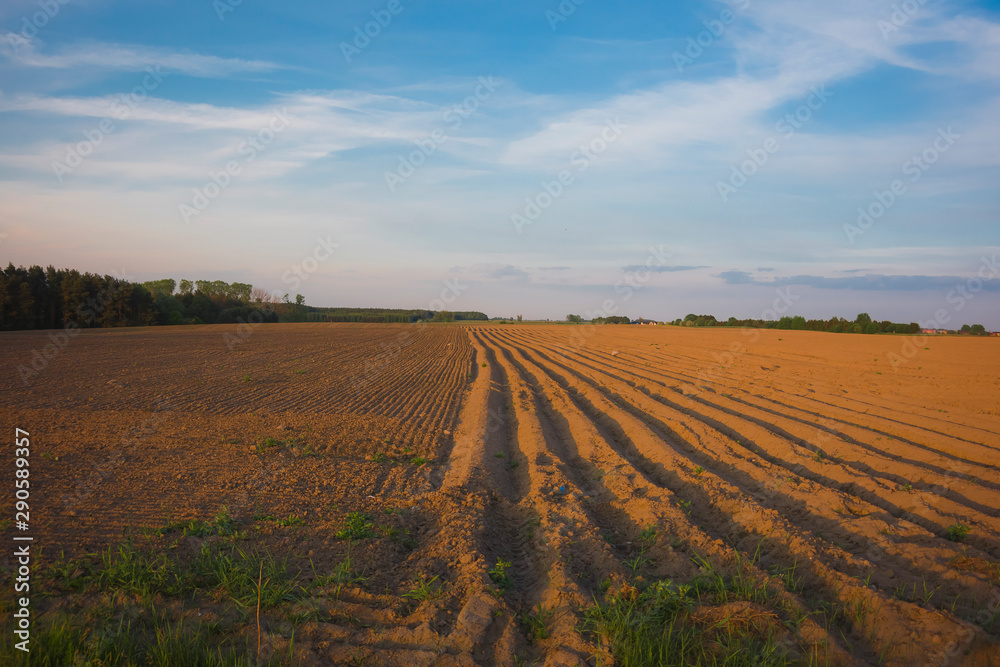Field unearthed in autumn with furrows arable land even patterns in ...