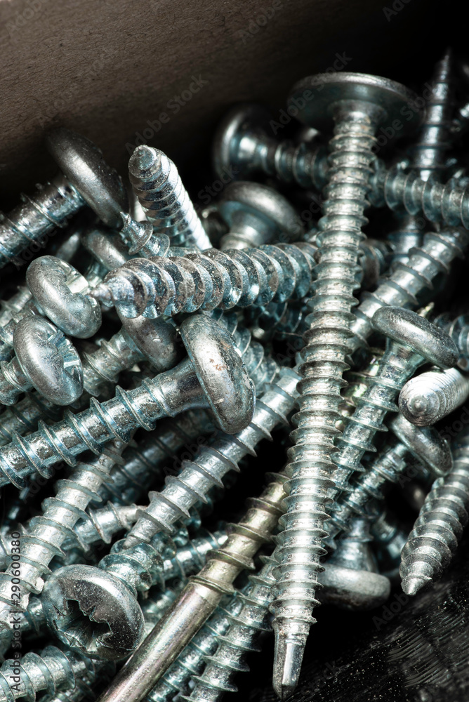 Different size and type of screw in close-up. (high ISO image) Stock ...