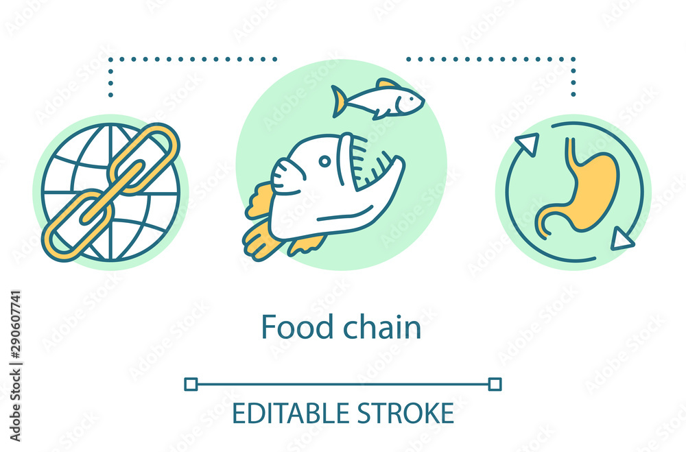 Food chain concept icon. Order of predation. Food web. Keystone species ...