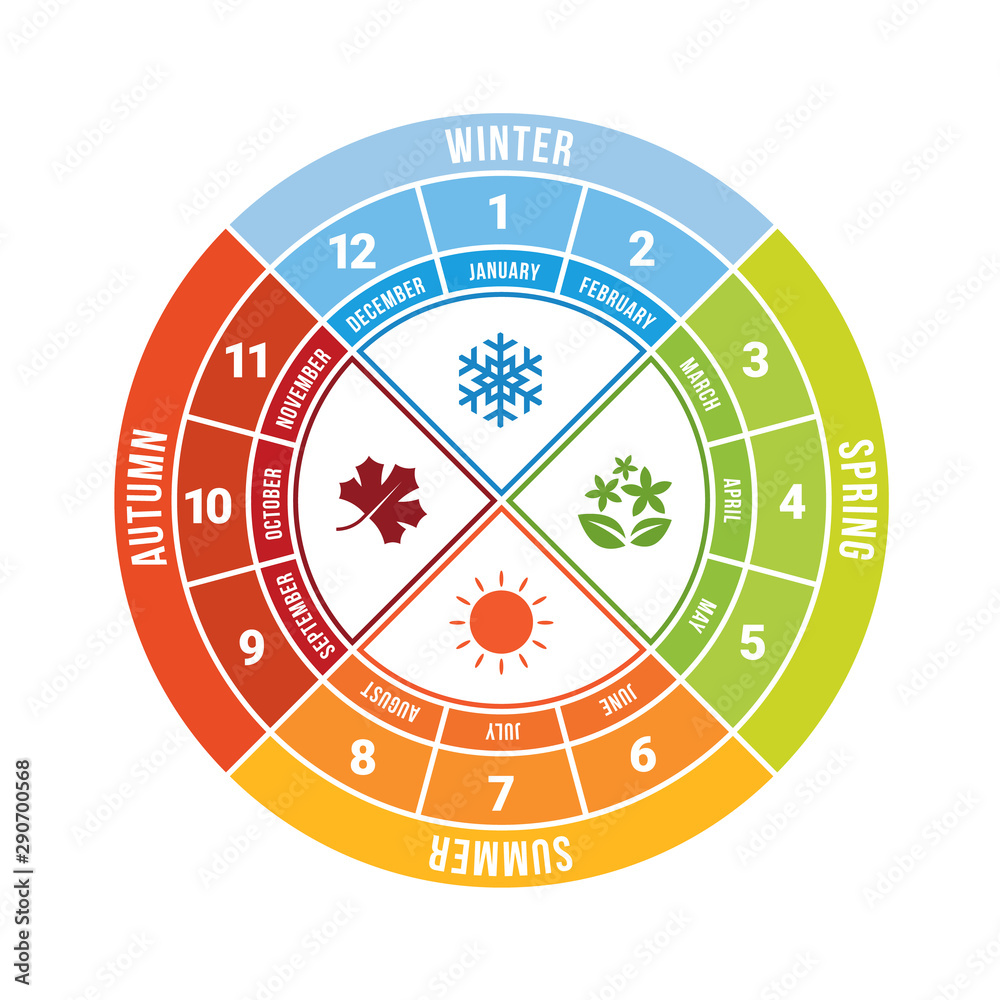 4 season circle diagram chart with icon sign and month time vector ...
