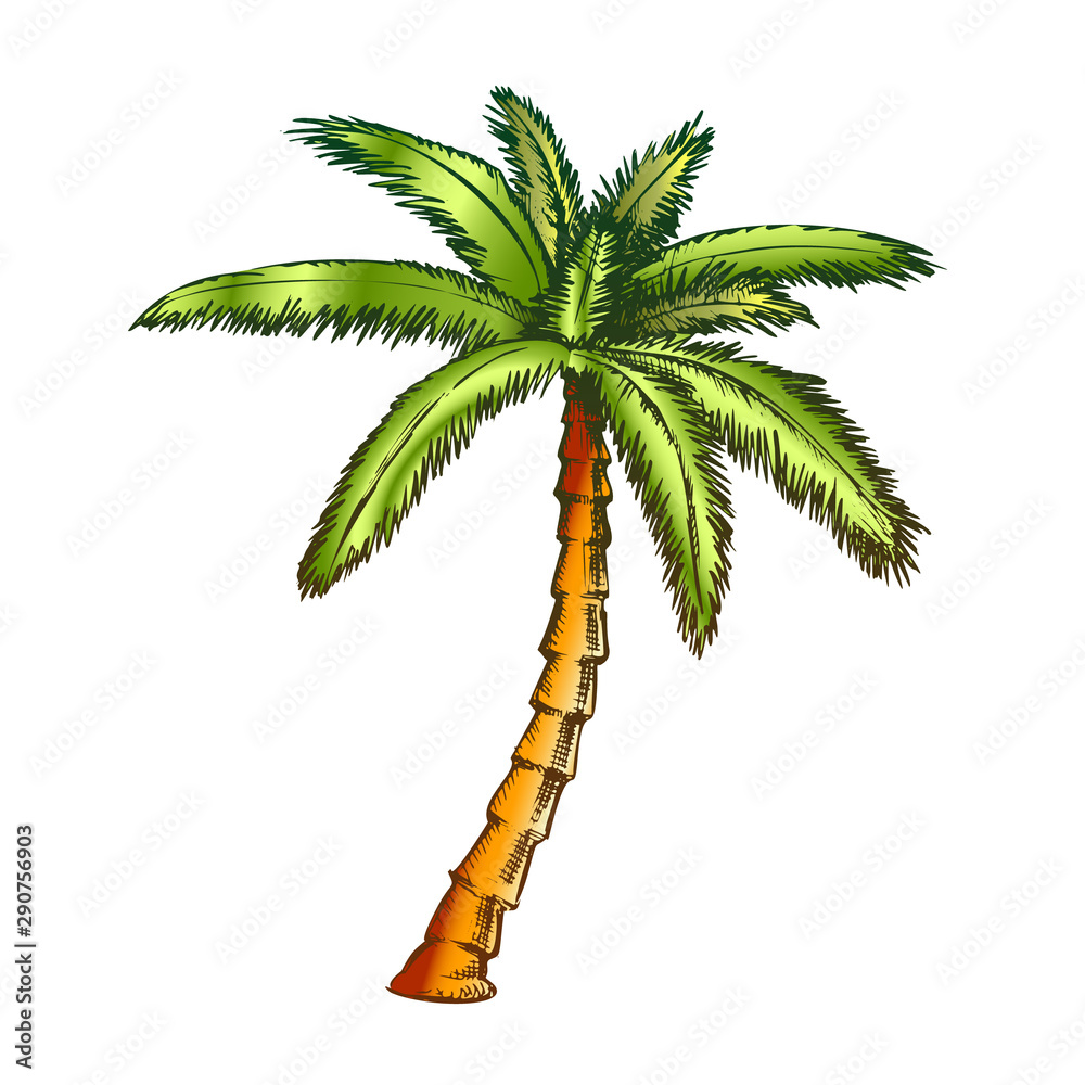 Palm Tree Trunk Template