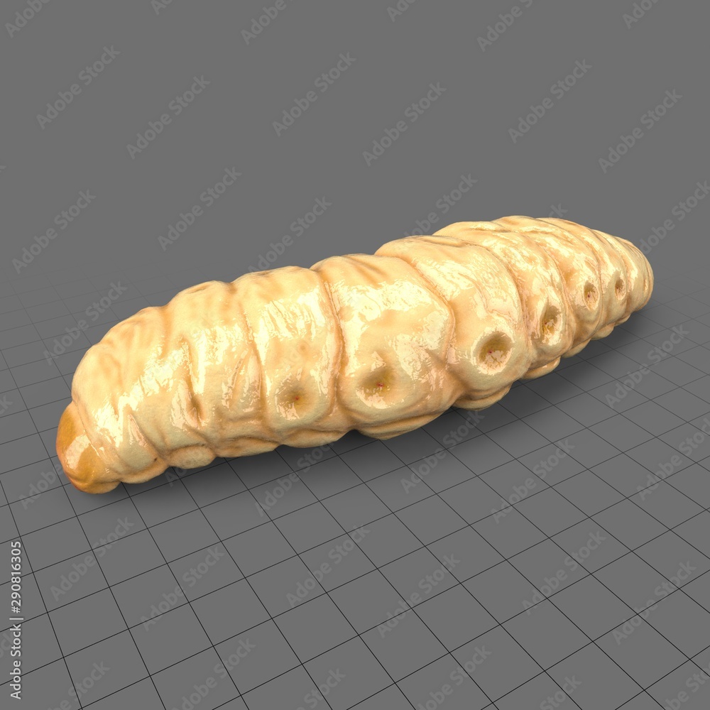 Maggot crawling Stock 3D asset | Adobe Stock