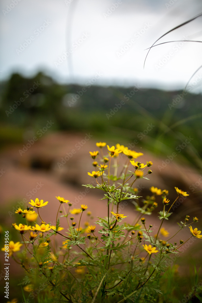 Adey Ababa - Lalibela Church Stock Photo | Adobe Stock