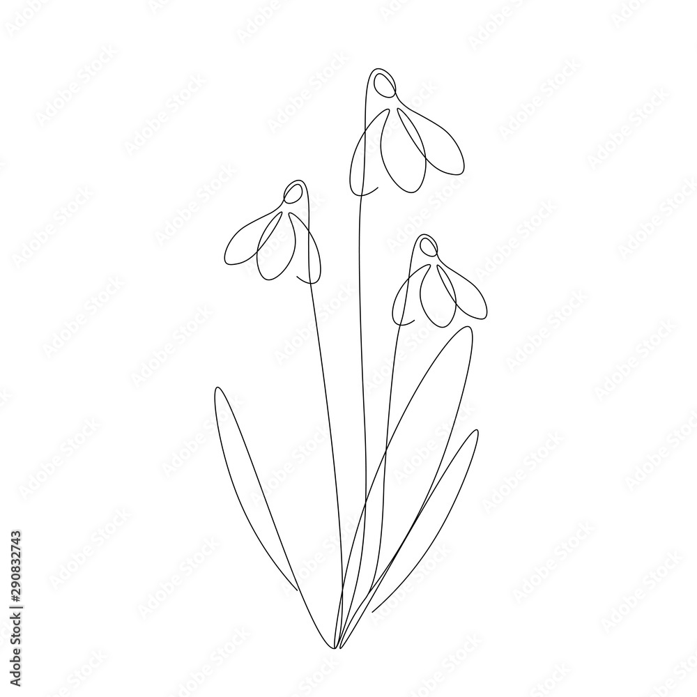 Snowdrop Flower Drawing