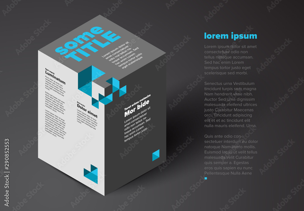 Cube Infographic Layout Stock Template | Adobe Stock