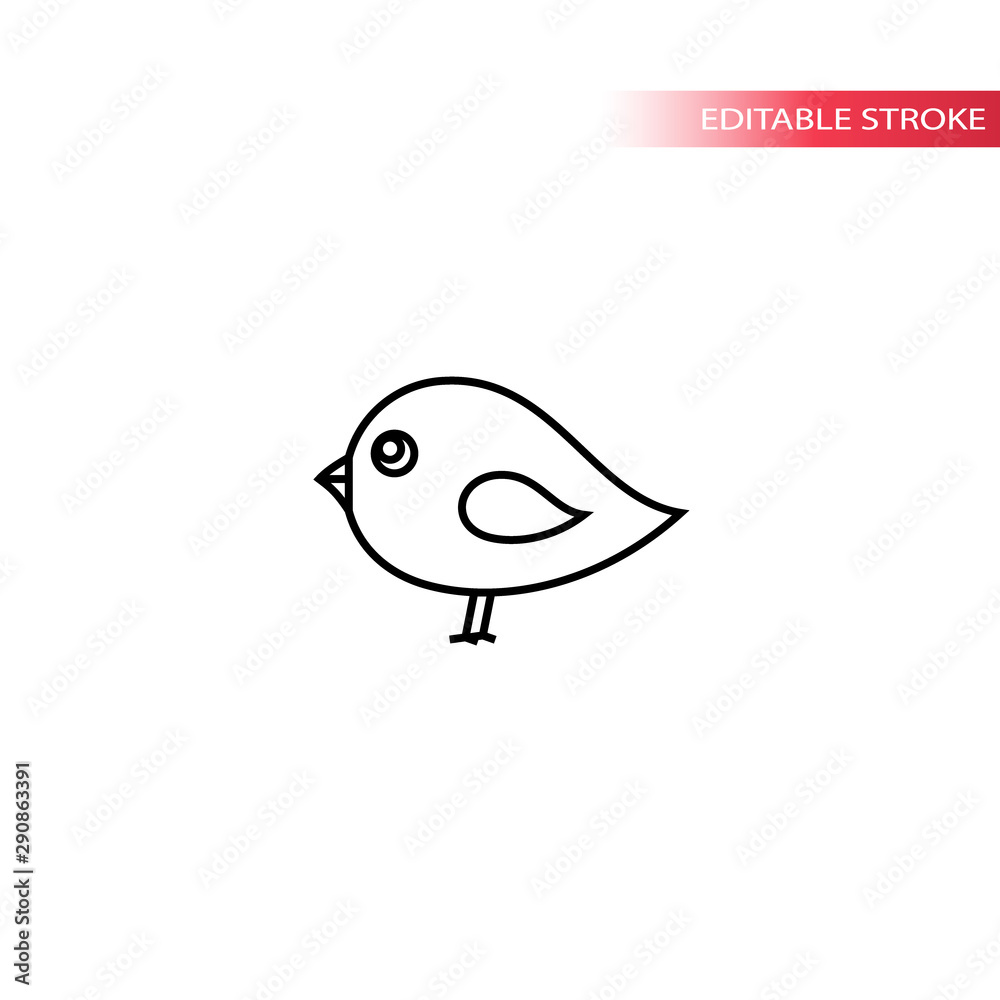 Baby Bird Outline
