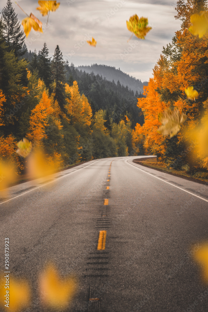 Epic autumn road trips through fall foliage forest wonderlands Stock ...