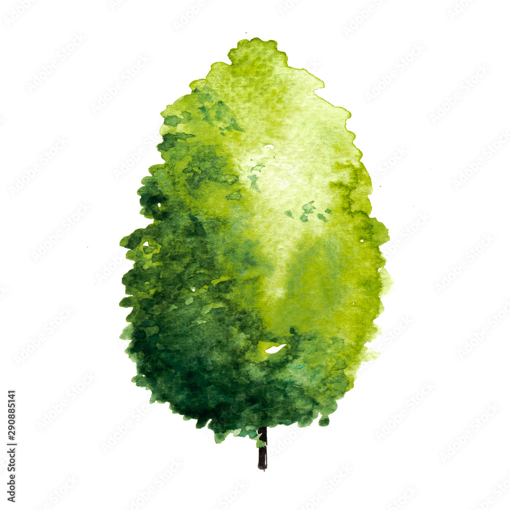 Green tree with leaves. Hand drawn watercolor painting,isolate on white ...