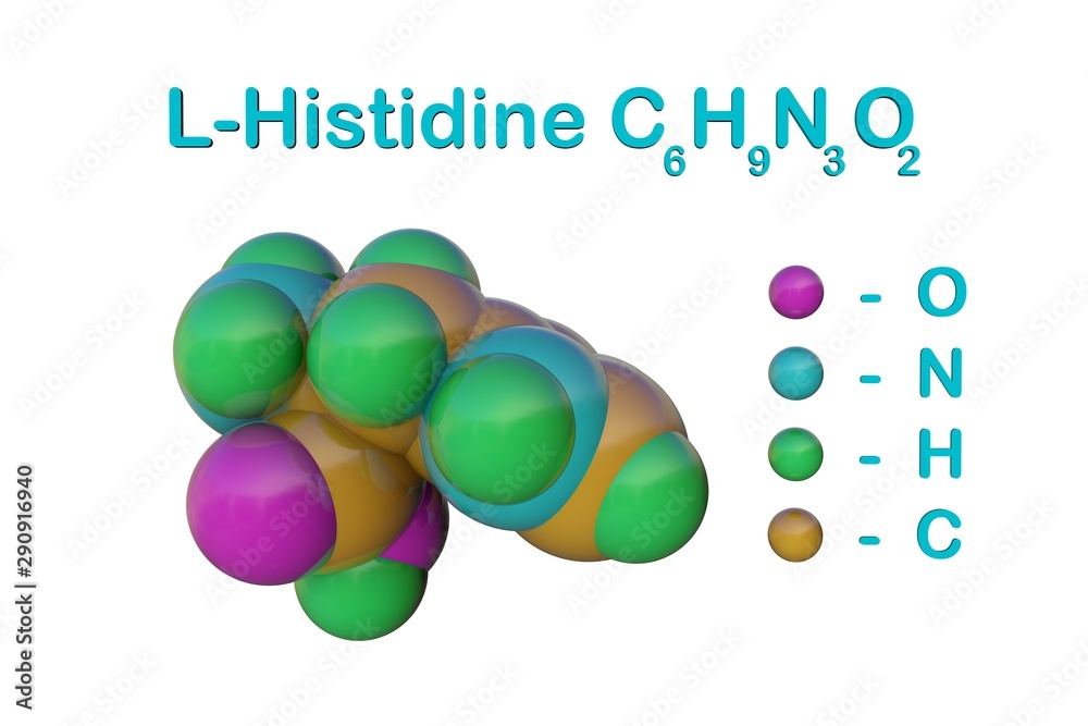 Structural chemical formula and space-filling molecular model of l ...
