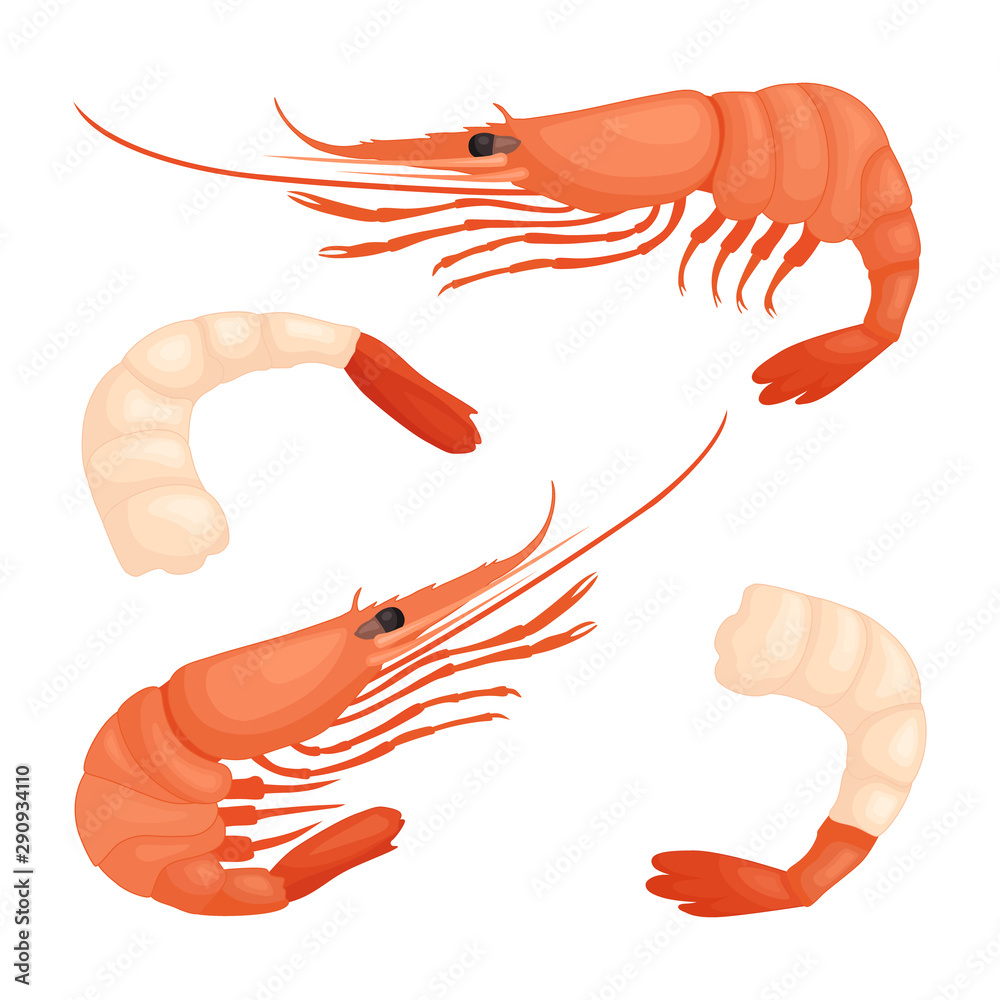 Shrimp whole and peeled. Red prawn isolated on a white background ...