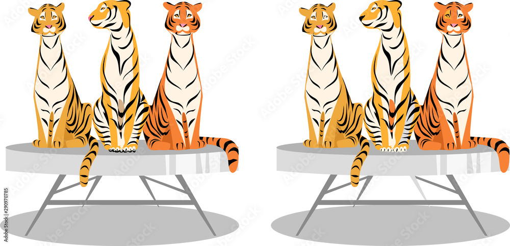 find 10 differences. vector image of tigers for development. picture ...