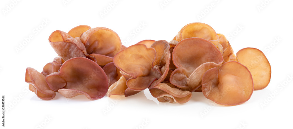 Jew's ear, Wood ear, Jelly ear isolated on white background. full depth ...