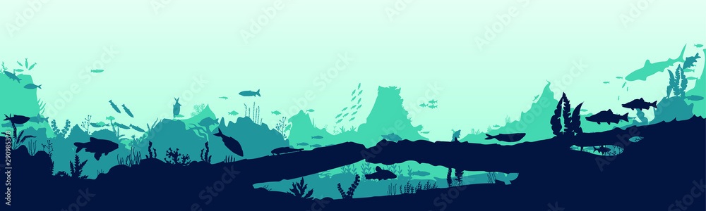 Silhouette of fish and algae on the background of reefs. Underwater ...