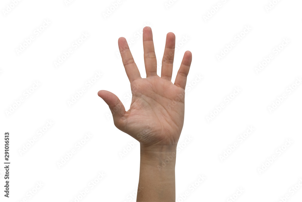 hand Stock Photo | Adobe Stock