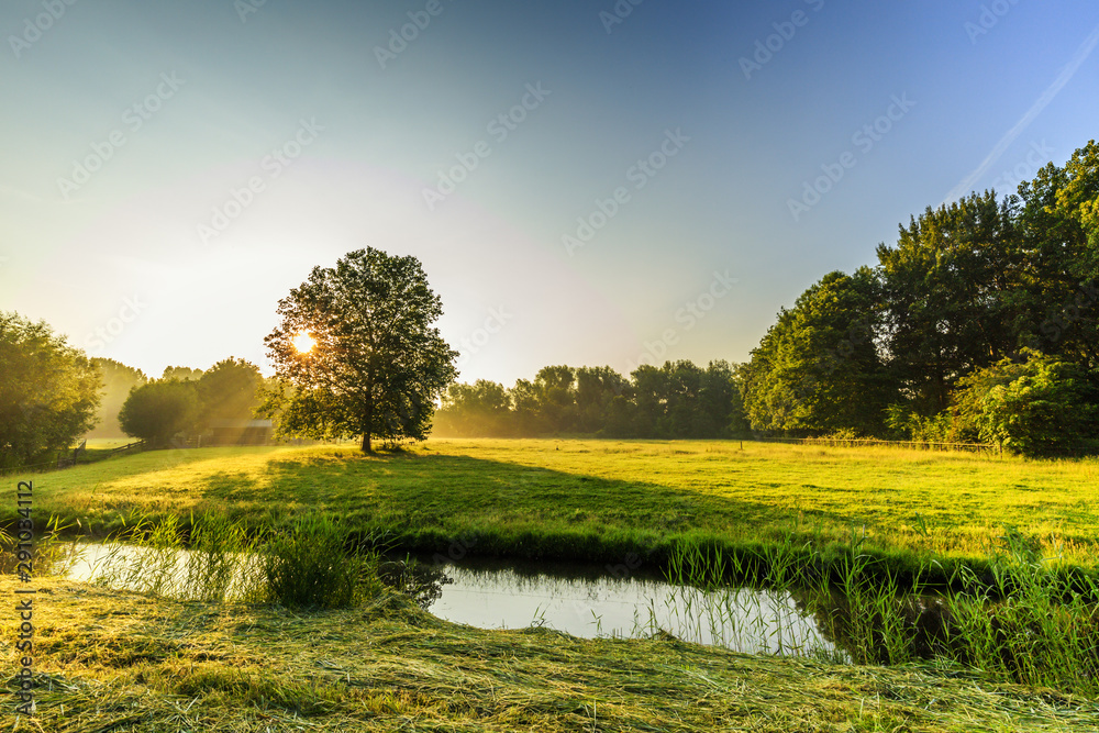 Foto de Beautiful backlight spring landscape picture with warm colours ...