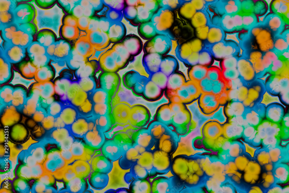 Shape of bacterial cell: cocci, bacilli, spirilla bacteria Stock ...