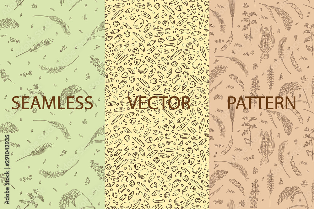 Vector set of packaging design templates, seamless patterns Stock ...