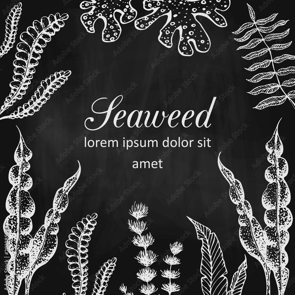 Vector seaweed banner or frame on chalkboard. vintage blackboard with ...