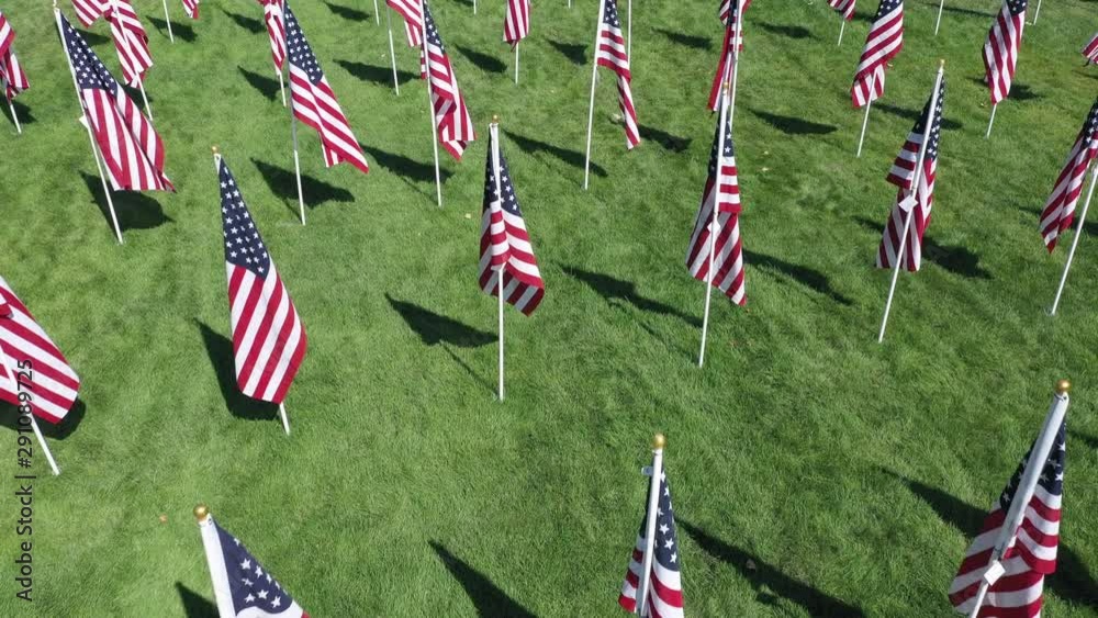 Flying backwards over American Flag display at park as they are lined ...