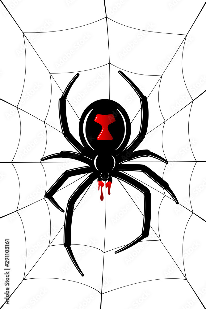 Spider Black Widow, cobweb. Red black spider 3D, spiderweb, isolated ...