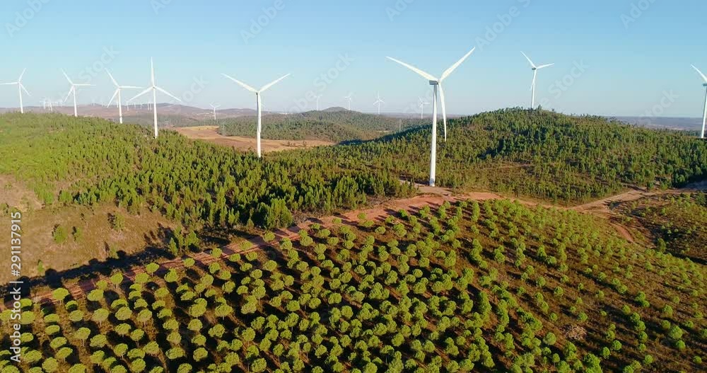 Wind turbines in fields near olive tree forest under the blue sky. This ...