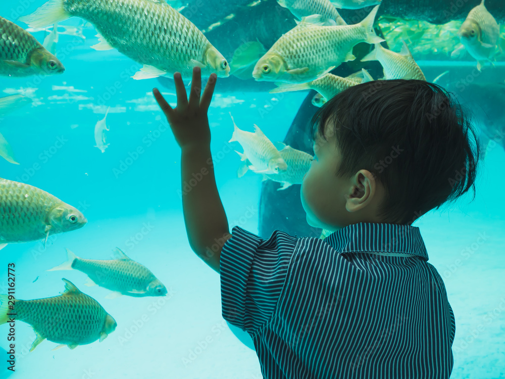 Child boy looking fish swimming in aquarium. Young kid enjoy and ...