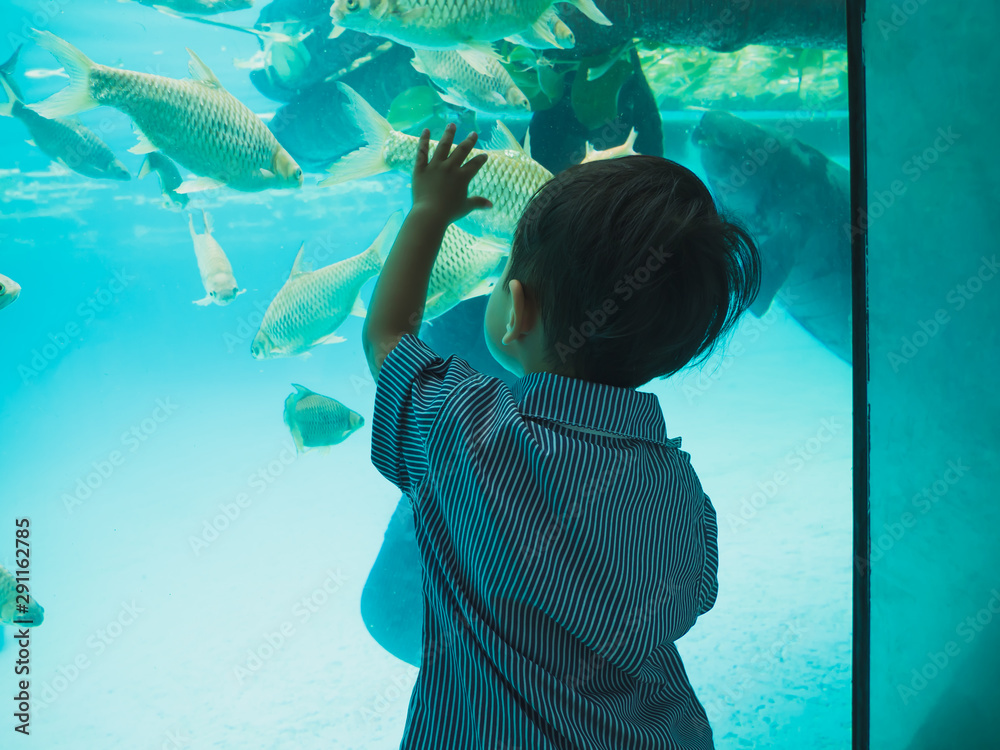 Foto de Child boy looking fish swimming in aquarium. Young kid enjoy ...