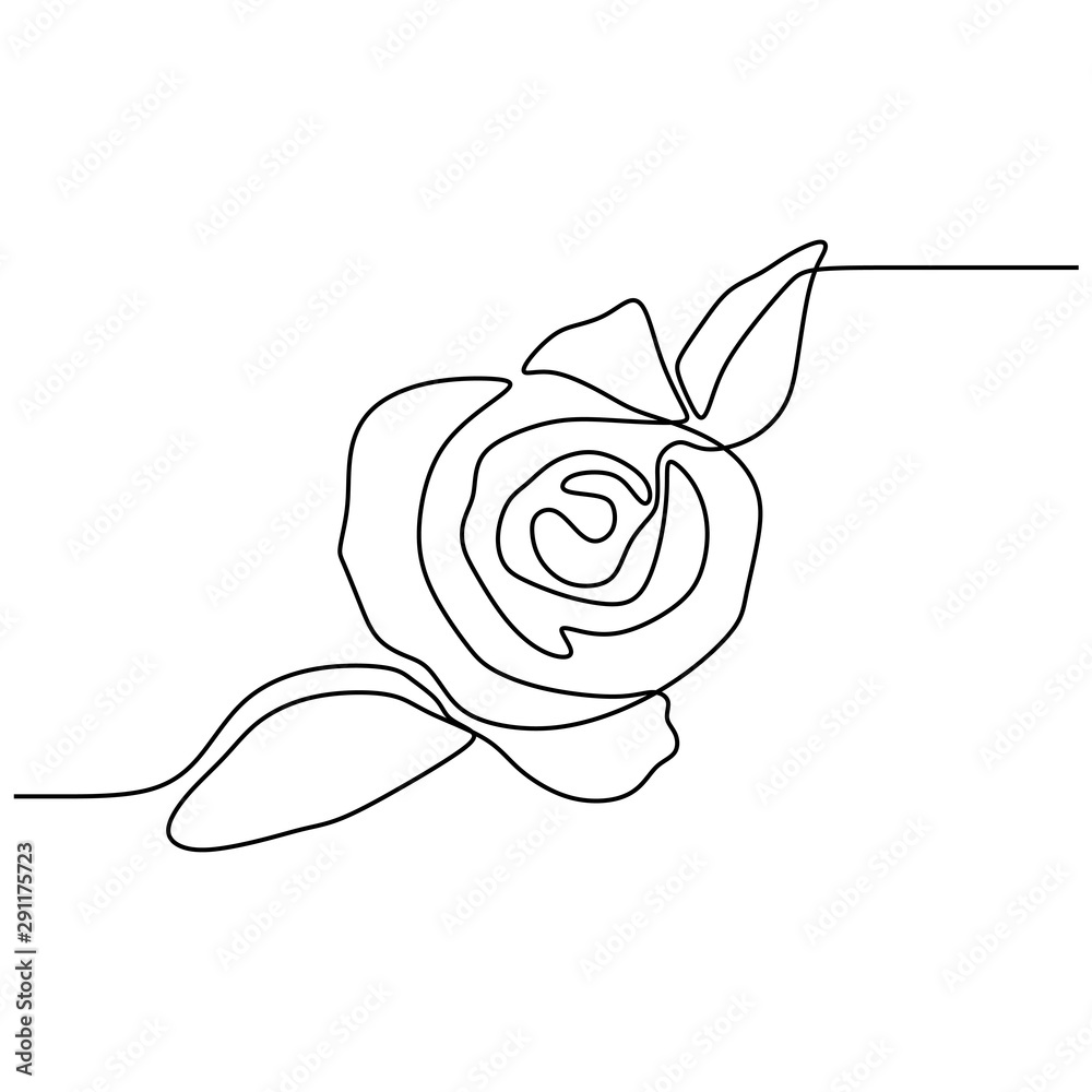 continuous line drawing of rose flower minimalism design isolated on white background Stock ...