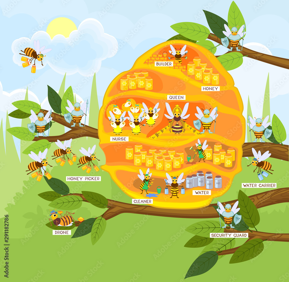 Yellow cartoon beehive on tree branch and honey bee family. Internal ...