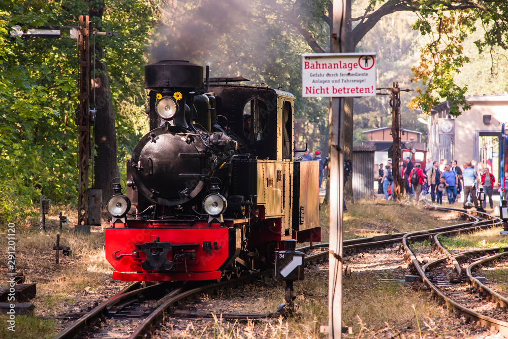 Small Steam Locomotive, Narrow Gauge Railway, Narrow gauge railway in ...