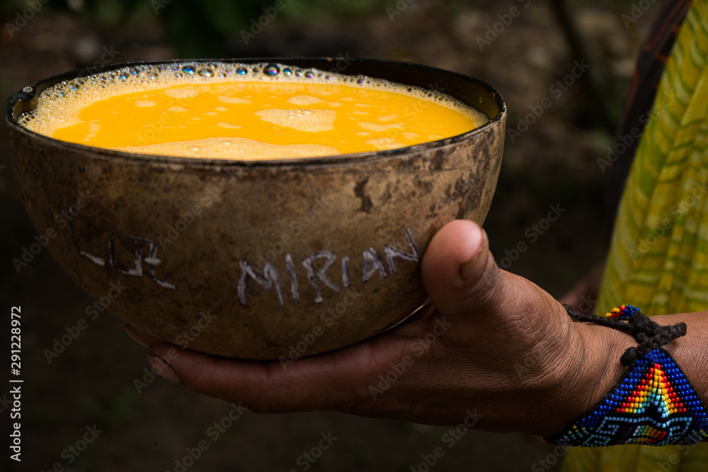 Indigenous traditional beverage called Chicha made of an amazon fruit ...