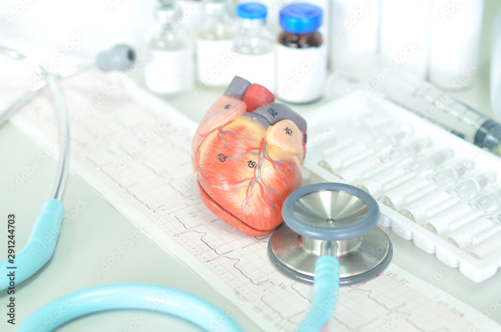 human heart anatomy model with EKG Stock Photo | Adobe Stock