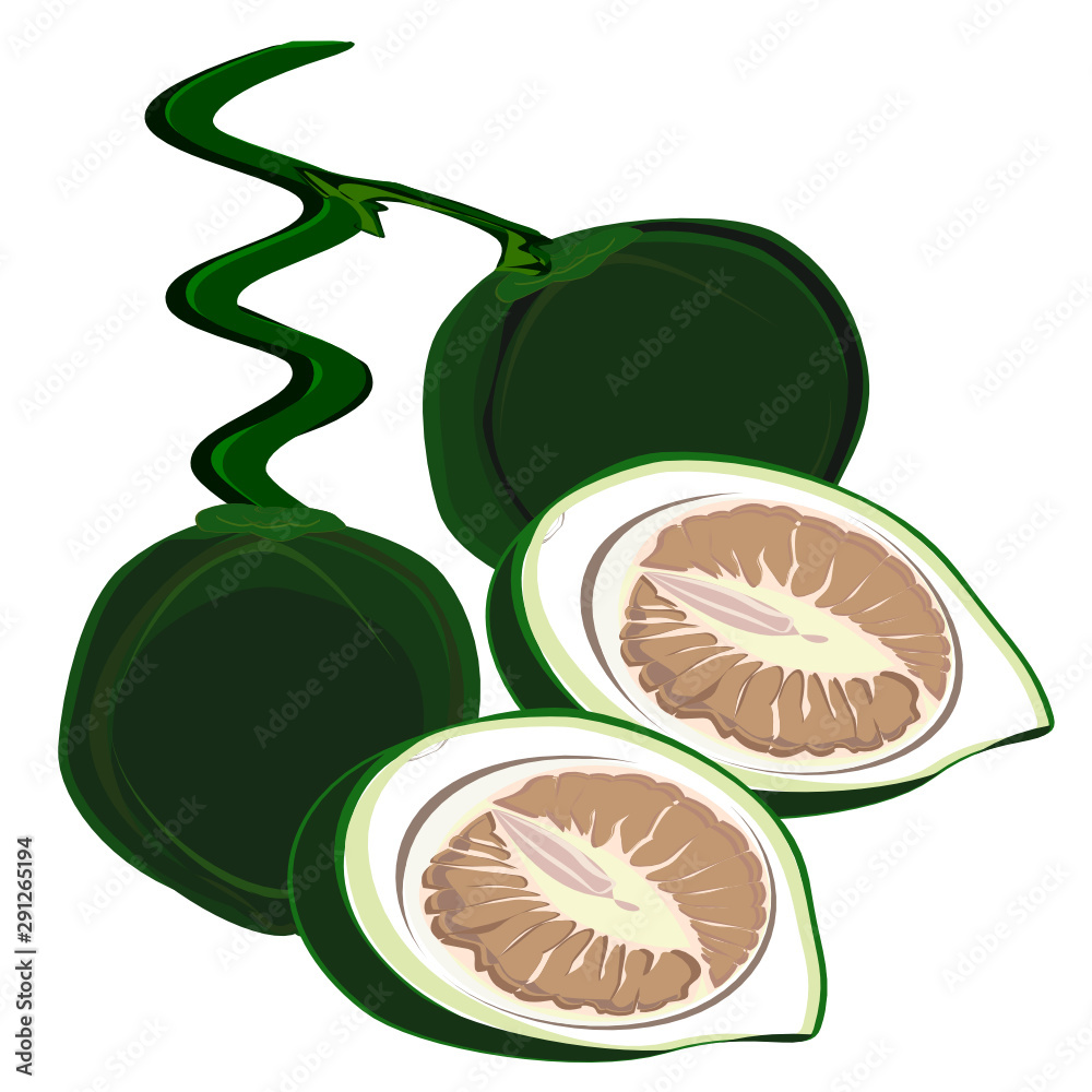 Betel nut and betel leaf, red lime(calcium hydroxide), traditional ...