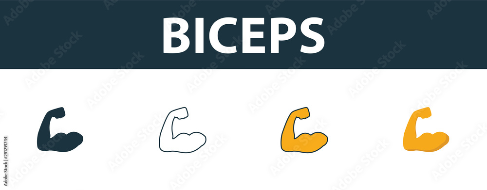 Biceps icon set. Four simple symbols in diferent styles from sport ...