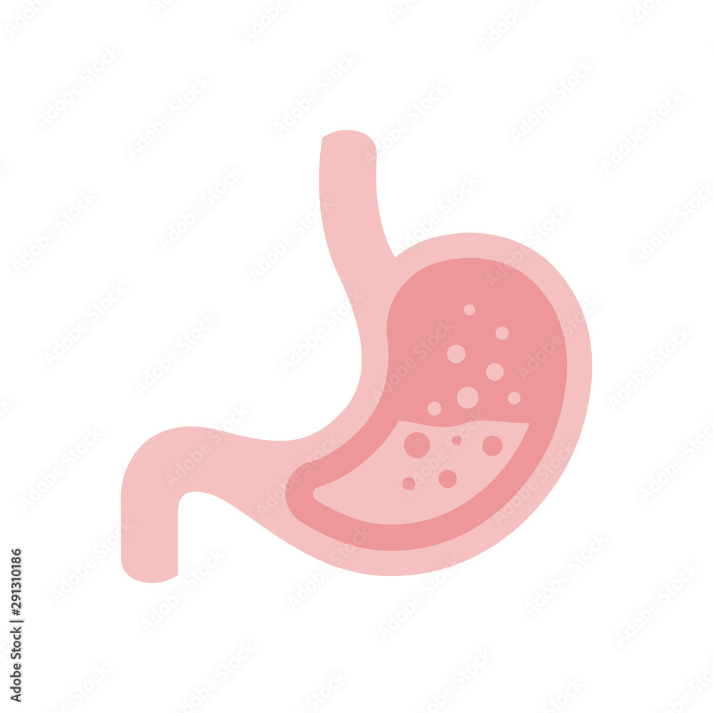 vector illustration of stomach and intestine digestions Stock Vector ...