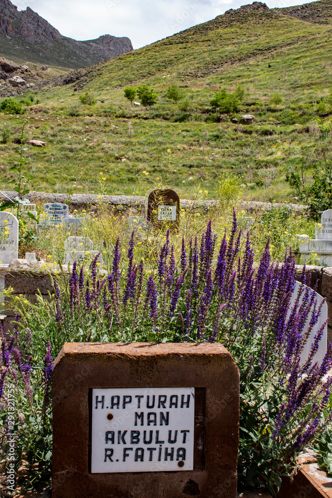 Dogubayazıt, Turkey, Middle East: tombs, tombstones and flowers in the ...
