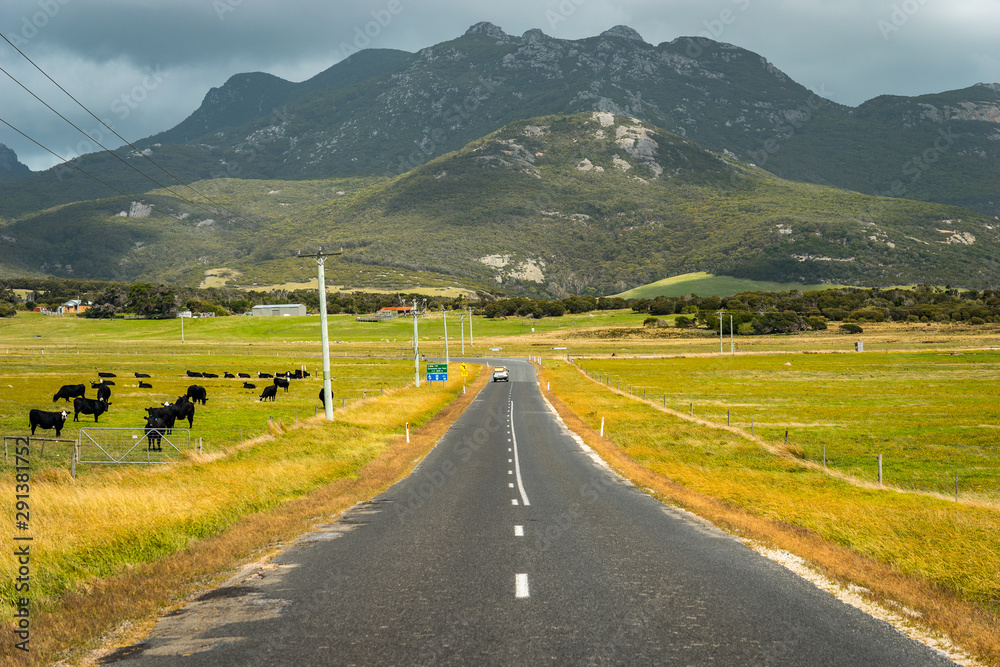Road to Mount Strzelecki on Flinders Island, Tasmania Stock Photo ...