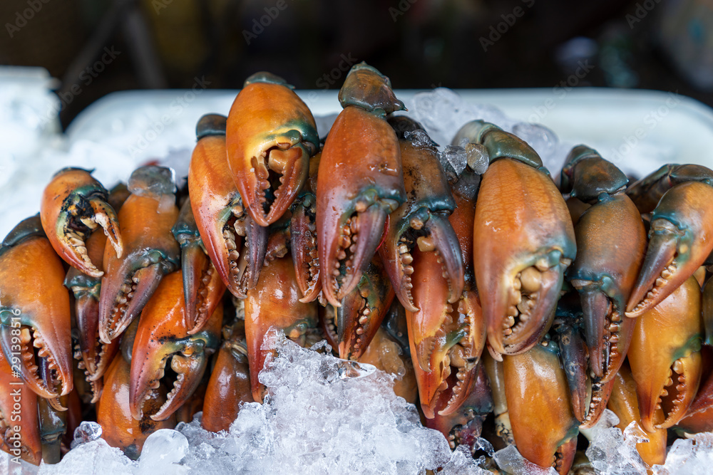 The many claw are placed in a container. Stock Photo | Adobe Stock